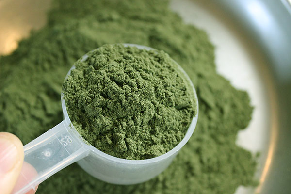 Top Ten Health Boosting Smoothie Add Ins | Real Nutritious Living